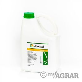 Avoxa