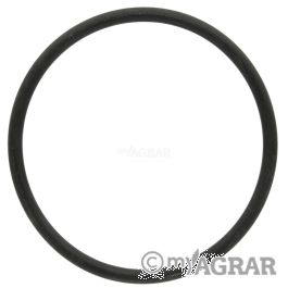 ARAG O-Ring kaufen | myAGRAR Onlineshop