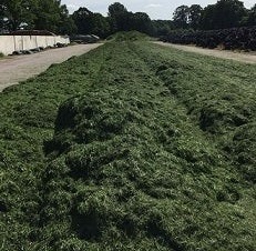 Grassilage: Mit Siliermitteln Erfolg sichern!